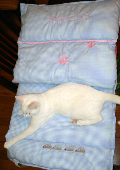 Cat Naps | Machine Embroidery Designs | Embroidery Library