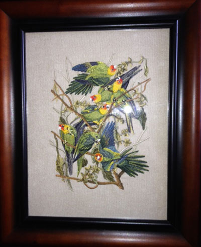 Perching Beauty | Machine Embroidery Designs | Embroidery Library
