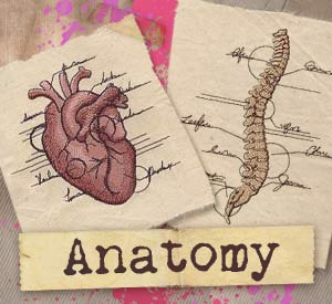 Anatomy (Design Pack)