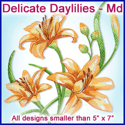 A Delicate Daylilies Design Pack - Md
