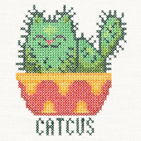 Catcus