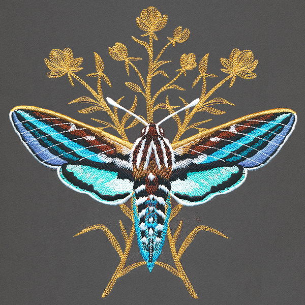 Luminous Moth in Flight