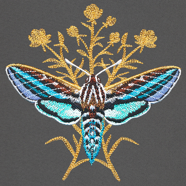 Luminous Moth in Flight