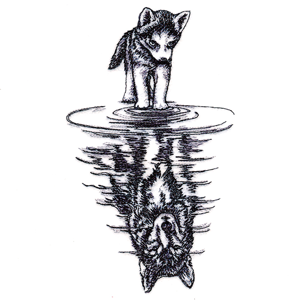 Canine Reflection