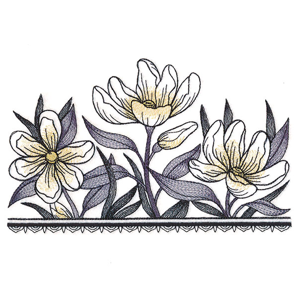 Wild Magnolia Border