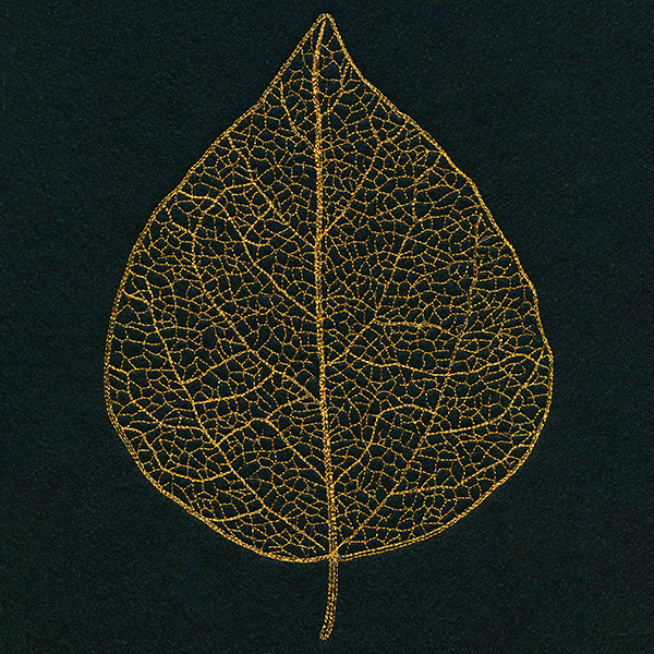 Sensational Skeleton Leaf