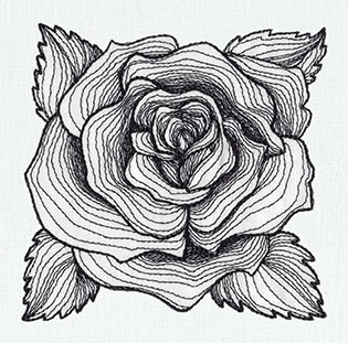 Engraved Rose