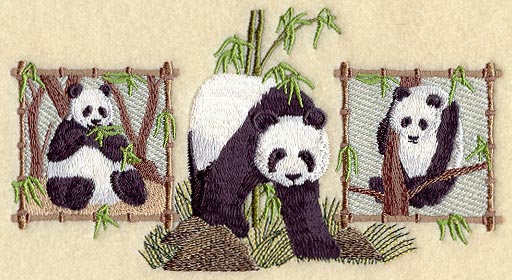 Panda Trio