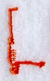 Skeleton Letter L - 1 Inch