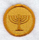 Menorah Coin