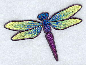 Dragonfly Buzz