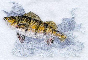 Yellow Perch