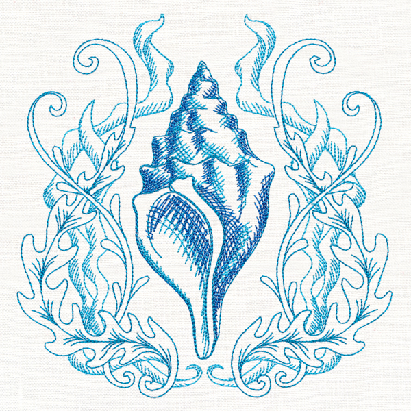 Seaside Shell Etching