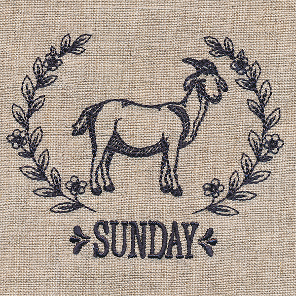 Farmhouse Goat on Sunday