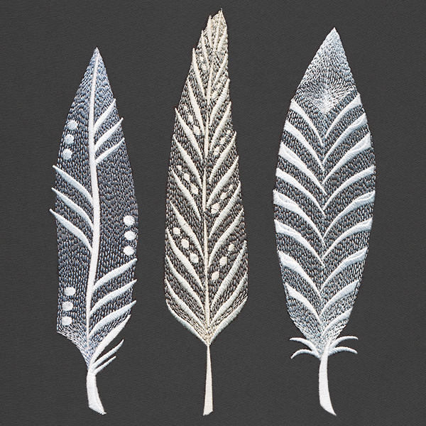 Modern Feathers Trio