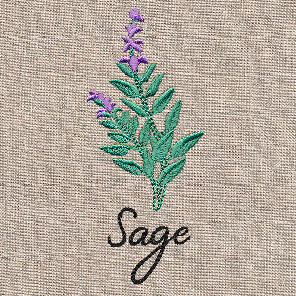 Botanical Herbs - Sage