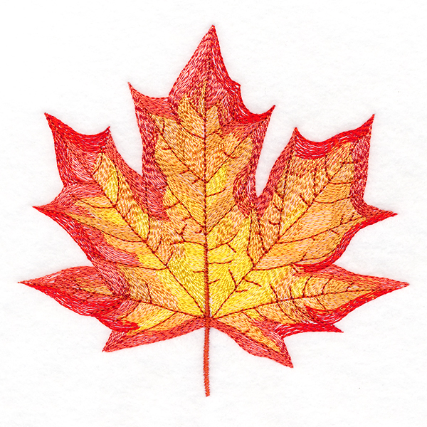 Magnificent Maple Leaf