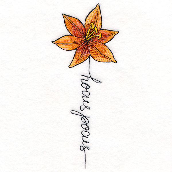 Hocus Pocus Bloom Lily