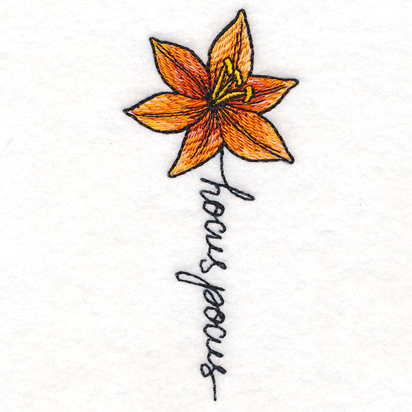 Hocus Pocus Bloom Lily