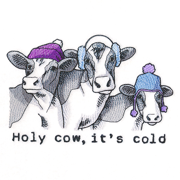 Holy Cow, It's Cold Cows