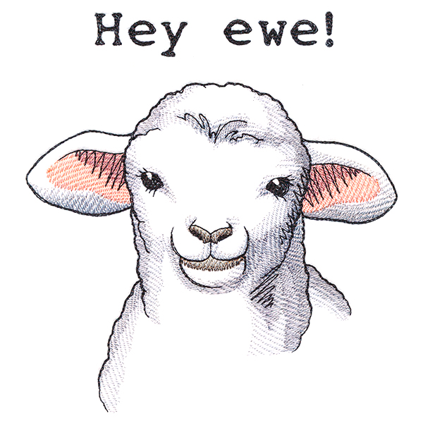 Hey Ewe
