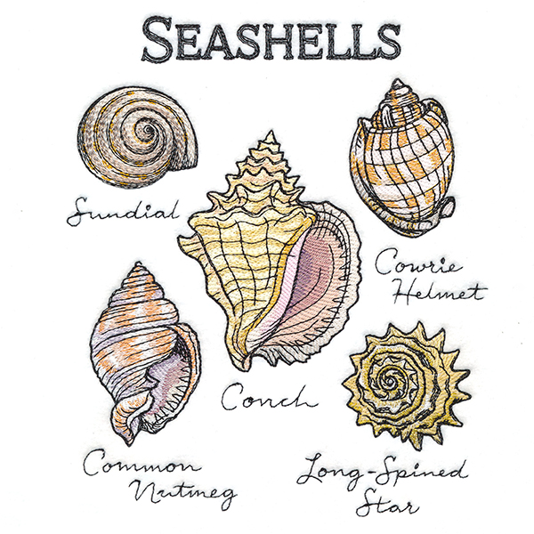 Seashells By The Seashore Chart