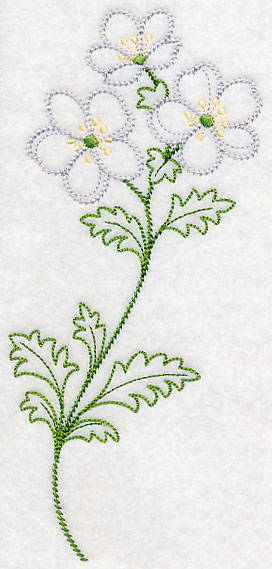 Cliff Rose (Vintage)