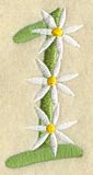 Daisy Number 1 (2 Inch)