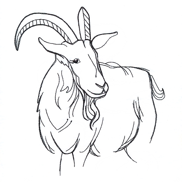 Simple Farm Sketch - Goat