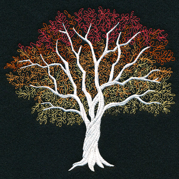 Signs of Autumn Tree