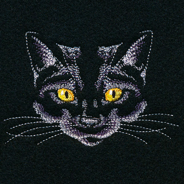 Creature of the Night Kitty