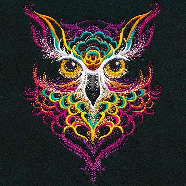 Bold Style Owl