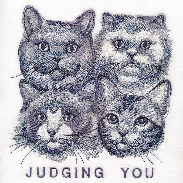 Judging You Cats