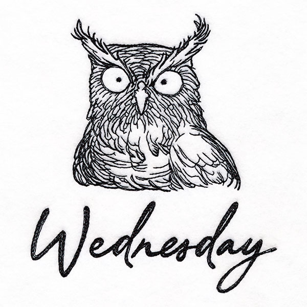 Who Gives a Hoot Owl on Wednesday