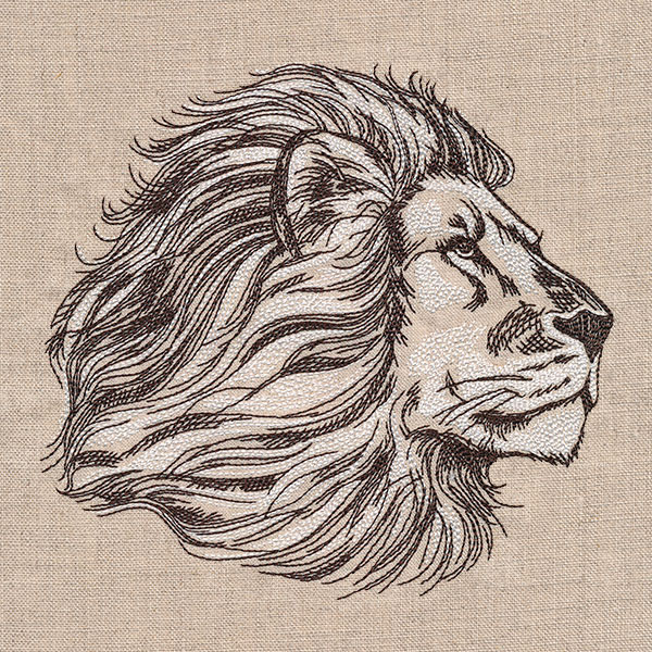 The Pride of a Lion Etching