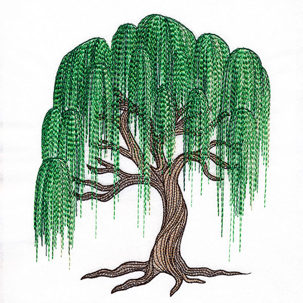 Texture and Wonder Weeping Willow