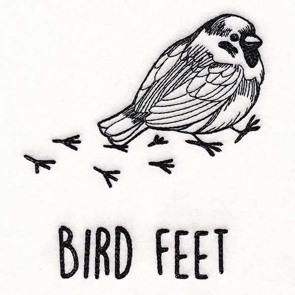 Bird Feet Chickadee