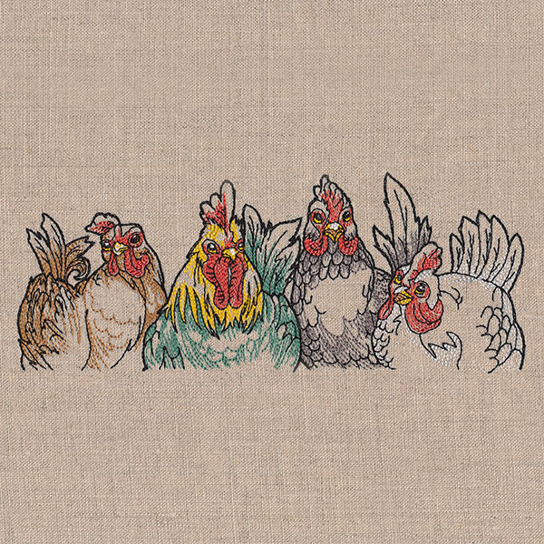 Sassy Chickens Border
