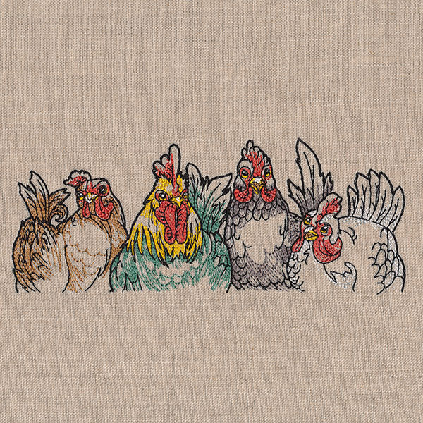 Sassy Chickens Border