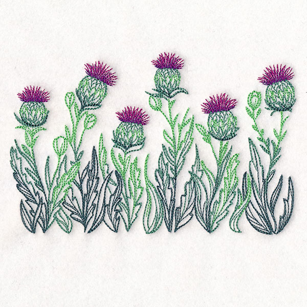 Lively Thistle Border